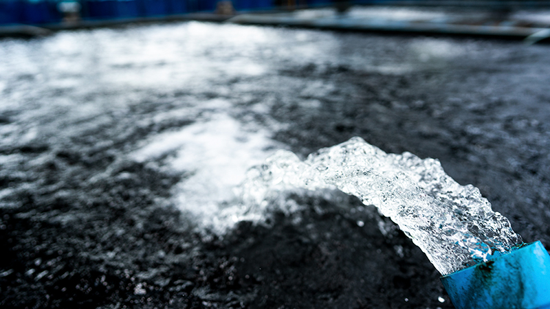 PLEXOS® Energy Modeling Software | Energy Exemplar