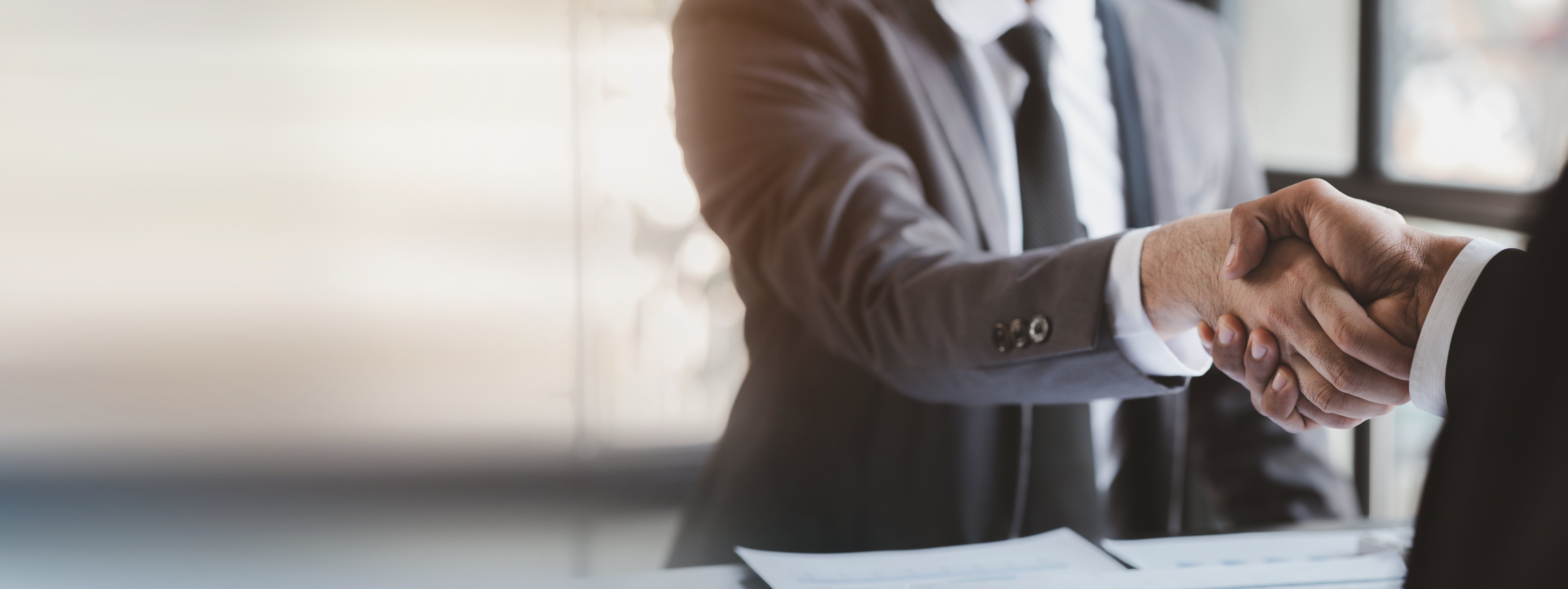 Partner Overview | Energy Exemplar